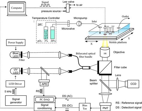 Schematic Of The Light Modulation And Detection System The Detection Download Scientific