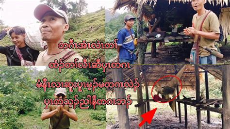 တဂီၤအံၤလဲၤတၢ်ထံၣ်တၢ်လီၤဆီပှၤတဂၤမံနီၤလၢဆူးပူၤမ့ၣ်မတဂၤလဲၣ်ပှၤတသ့ၣ်ညါနီတဂ