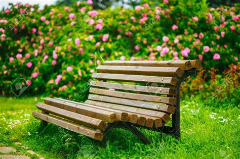 Виды скамеек 70 фото красивые картинки и Hd фото