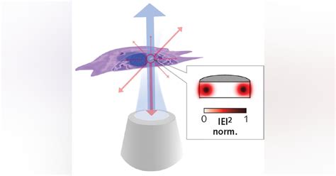 Illuminationmicroscopy Submicron Intracellular Lasers Promise New