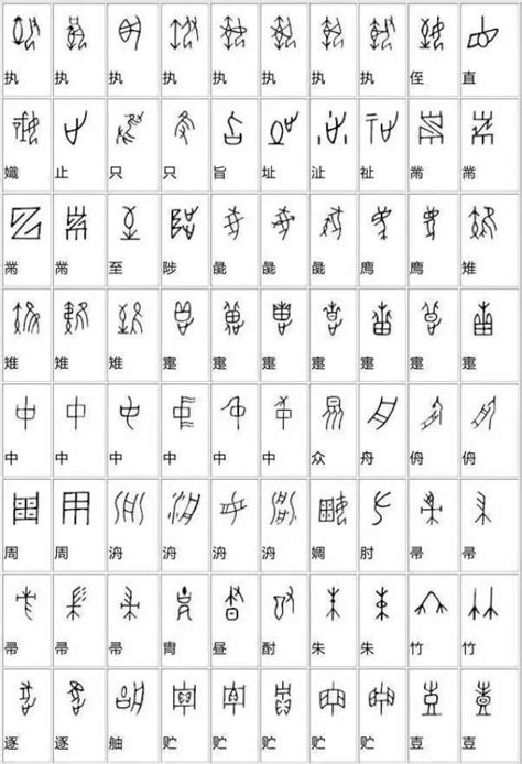 y甲骨文 甲骨文 甲骨文现代 大山谷图库