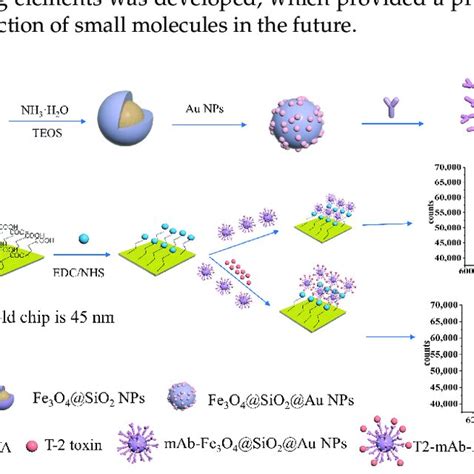 A Flow Chart Of Synthesis Process Of Fe O SiO AuNPs And A Download Scientific Diagram