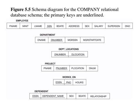 Ppt The Relational Data Model And Relational Database Constraints