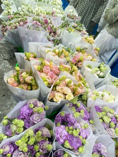 B에 있는 B☆ ｡ ๑･̑ ･̑๑ ｡ ☆님의 핀