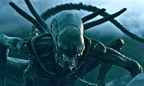 Alien La Série Disney Va Réinventer La Saga Et Le Créateur Explique
