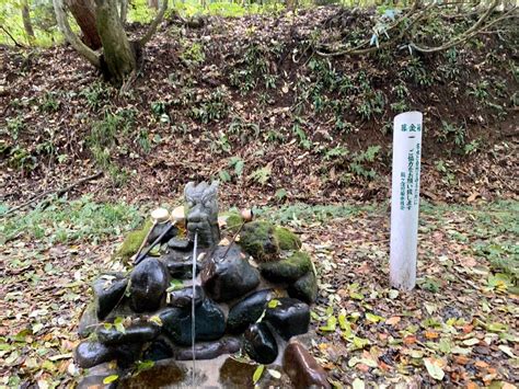 20191017 龍ヶ窪 絶滅危惧種 新潟カヤッカー
