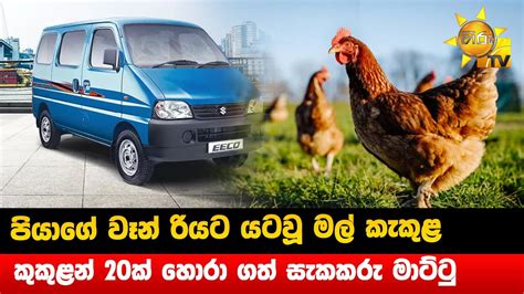 පියාගේ වෑන් රියට යටවූ මල් කැකුළ කුකුළන් 20ක් හොරා ගත් සැකකරු මාට්ටු