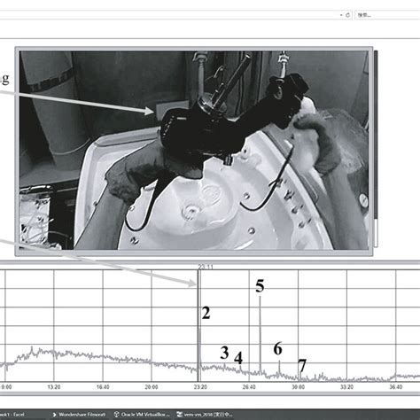 A Screenshot Window Of The Data‐handling Software For Video‐exposure