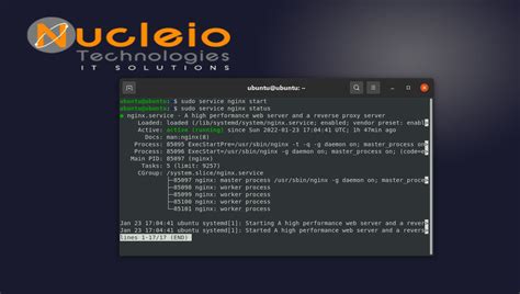How To Setup Your Own Personal Web Server With Raspberry Pi Nucleio
