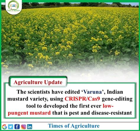 Anand Kumar Pathak Posted On Linkedin