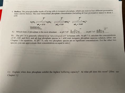 Solved 4 Buffers The Principle Buffer Inside Of Living Chegg Com