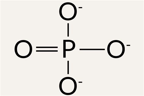 Polyatomic Molecules Examples