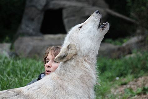 068 Feature For The Love Of Wolves Mayjune