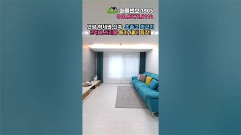 특가세대 떴다 안양 학세권 신축빌라 2억대 쓰리룸🎈투룸 가격으로 방3개 내집 안양신축빌라 안양동신축빌라 만안구신축빌라 안양역신축빌라 안양신축분양