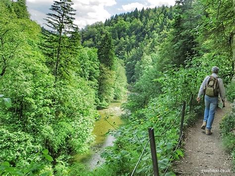 Black Forest Westweg Hiking In The Black Forest Easy Hiker