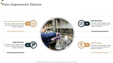 Pulse Amperometric Detector Ppt Powerpoint Cpp Ppt Powerpoint