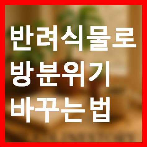 반려식물로 방 분위기 바꾸는 법 전후 비교