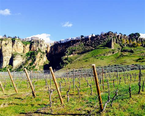 Ronda Wine Tour 5 Best Wine Tours In Spain