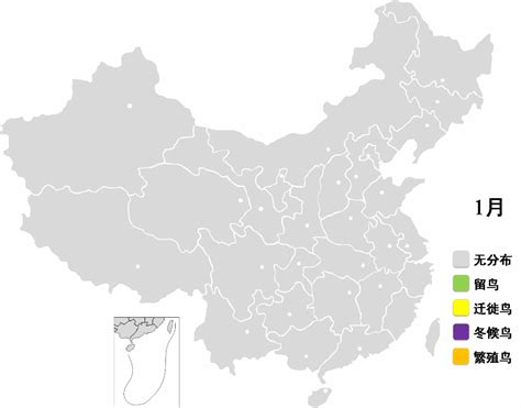 玉带海雕濒危鸟类 Haliaeetus leucoryphus 专题库 国家动物标本资源共享平台