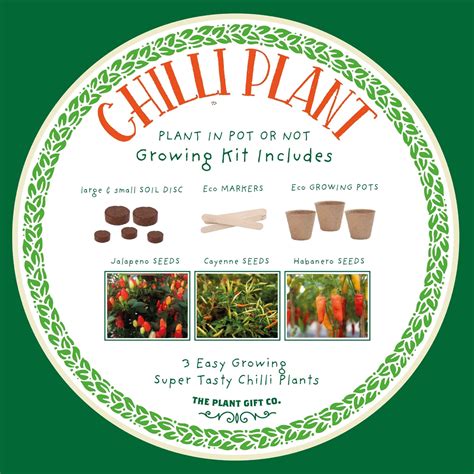 Chilli Growing Kit On The Spanners