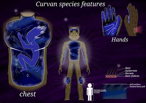 Curvan Species Features By Cg7497 On Deviantart