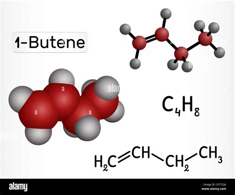 Butene Alkene Molecule Structural And Molecular Models Of Butylene C4h8 Vector Illustration