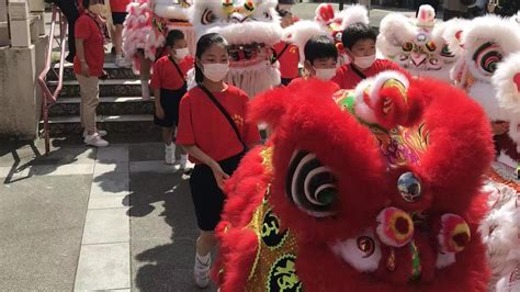 50个广东醒狮头现身！日本横滨中华街举行中国国庆大游行凤凰网视频凤凰网