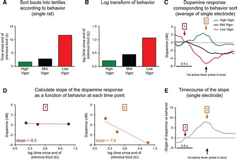Illustration Of The Method To Quantify The Relationship Between The Download Scientific Diagram