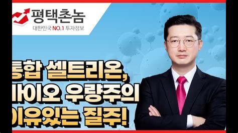급등주 2024년 주식시장 주식투자 삼성전자 셀트리온 바이오 합병 2차전지 테슬라 에코프로 에코프로비엠 금양 Posco홀딩스 포스코퓨쳐엠