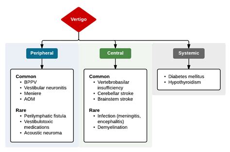 Causes Of Vertigo Differential Diagnosis Algorithm Diagnosis