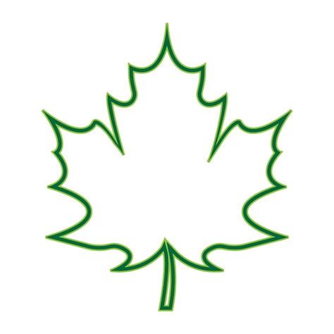 Premium Vector Maple Leaf Vector Illustration