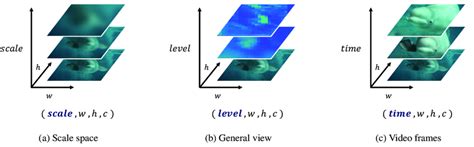 comparison of image sequences on different axes the source of the download scientific diagram