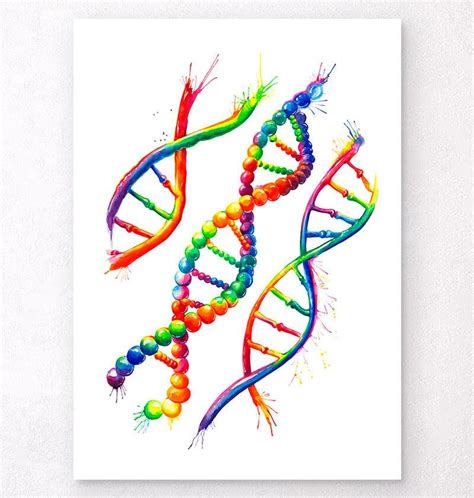 Dna Structure Art Print Anatomy Art Codex Anatomicus