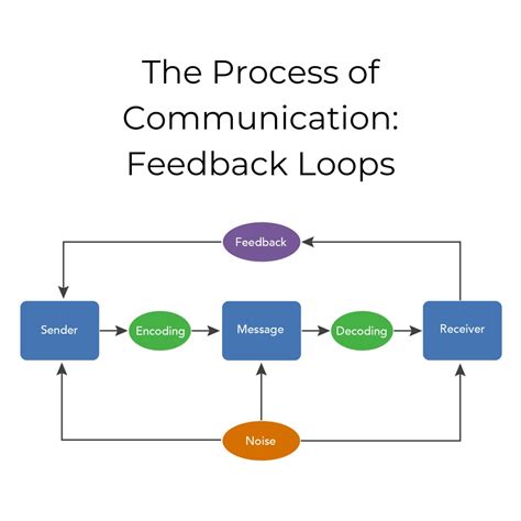 Feedback Loop Diagram