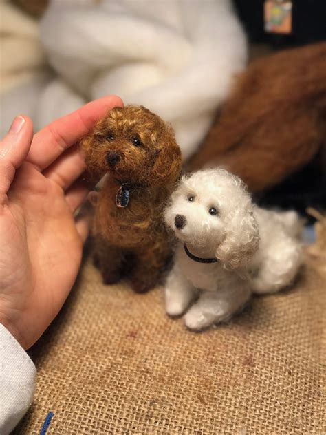 Cockapoo Commission By Tirzah Bauer Scrolller