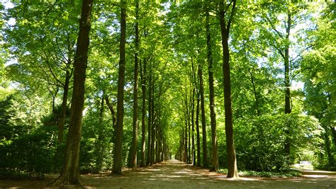 Urban Nature - Seeing Nature