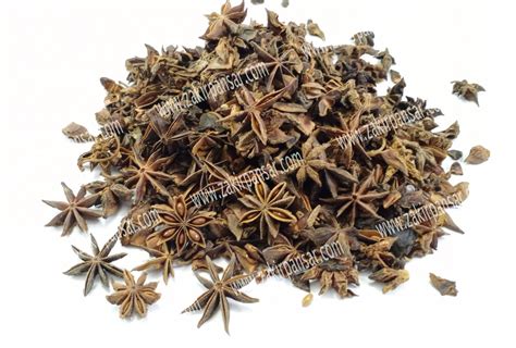 Badyaan Khatayi بادیان خطائی Zakir Pansar