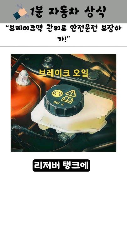브레이크액 관리로 안전운전 보장하기 브레이크오일 브레이크패드 차량관리 자동차정비 엔진오일 교환주기 Shorts Youtube