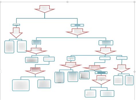 Microbiology Gram Positive Flow Chart Diagram Quizlet
