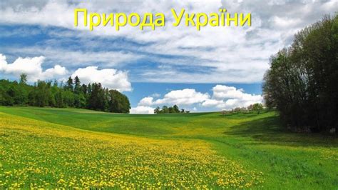 Презентація Ми українці честь і слава незламним перший урок 2022