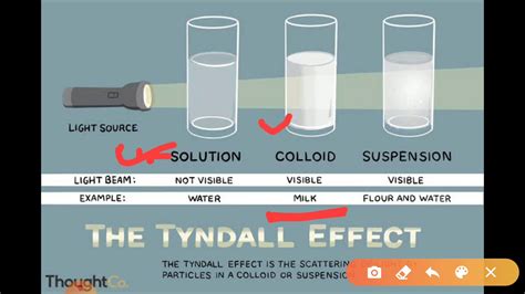 Colloid Replacement Solution At Claudette Scott Blog