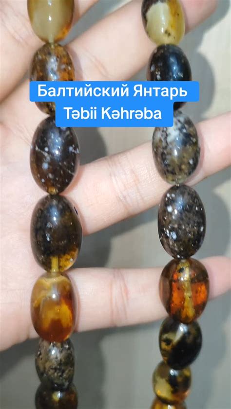 Натуральные камни в серебре Балтийский янтарь — это окаменевшая смола ископаемых деревьев