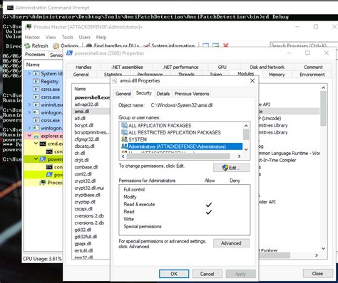 How Can I Confirm Amsidll Having Read Write And Execute Rights In