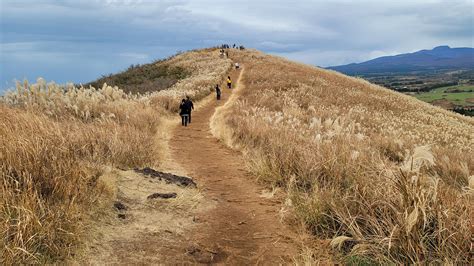 제주도 오름 Foto Gratis En Pixabay