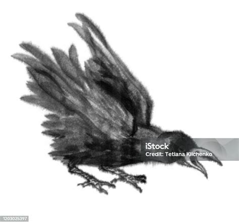 검은 까마귀는 흰색 배경에 잉크로 그림 새 까마귀 잭도우 까치의 이미지 신비주의 신비주의 신비주의 샤머니즘 상징 마법 중국 스타일 동양 가득 찬에 대한 스톡 벡터 아트 및