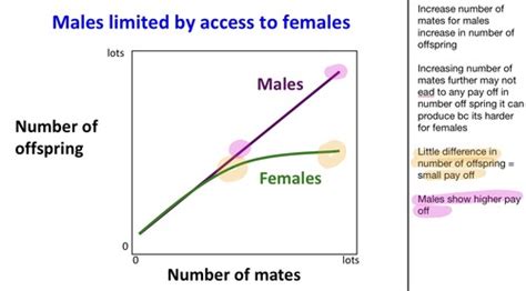 Lecture 2 Flashcards Quizlet