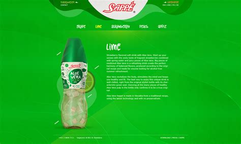 SAPPE WEB on Behance