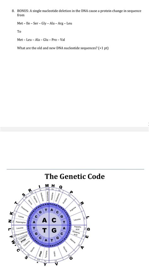 Solved 8 Bonus A Single Nucleotide Deletion In The Dna