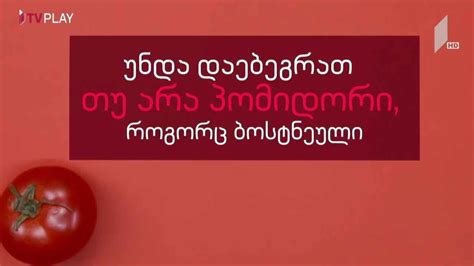 ახალიდღე 1tvplay საკვები ნარჩენების მართვა და გავლენა გარემოზე Youtube