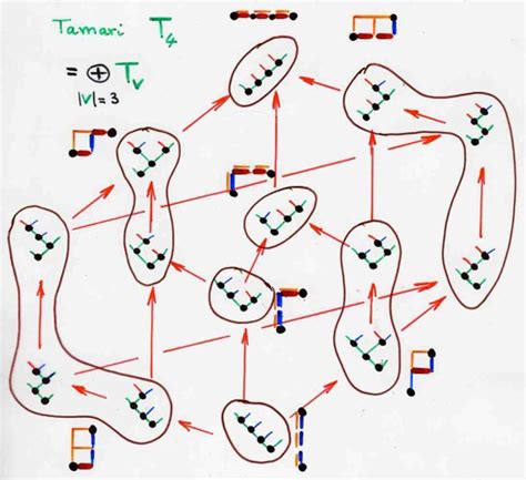 The Decomposition Of The Tamari Lattice On Complete Binary Trees With 4 Download Scientific